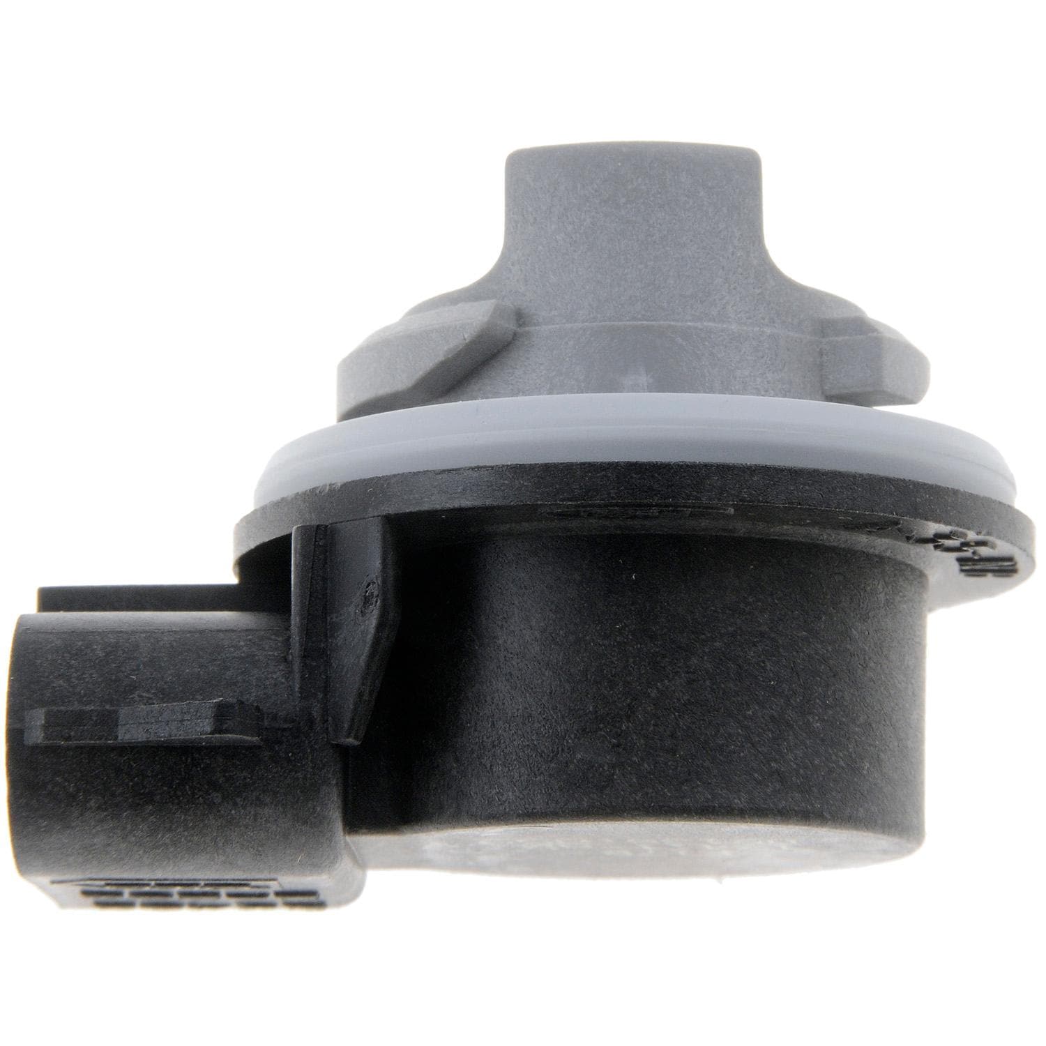 Dorman Cornering Light Socket 84761 | AutoZone