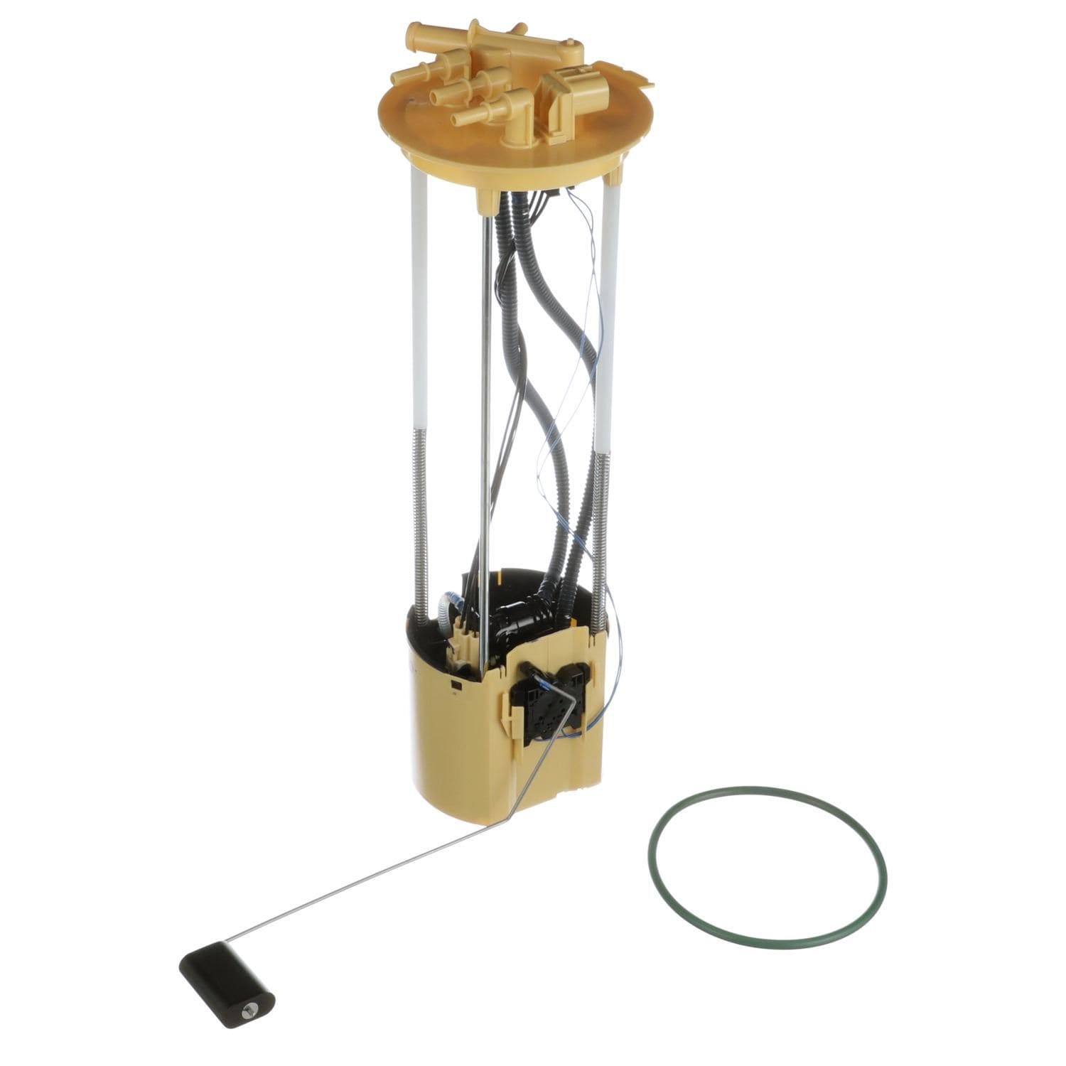 Delphi Fuel Pump Module Assembly EFG2248 | AutoZone