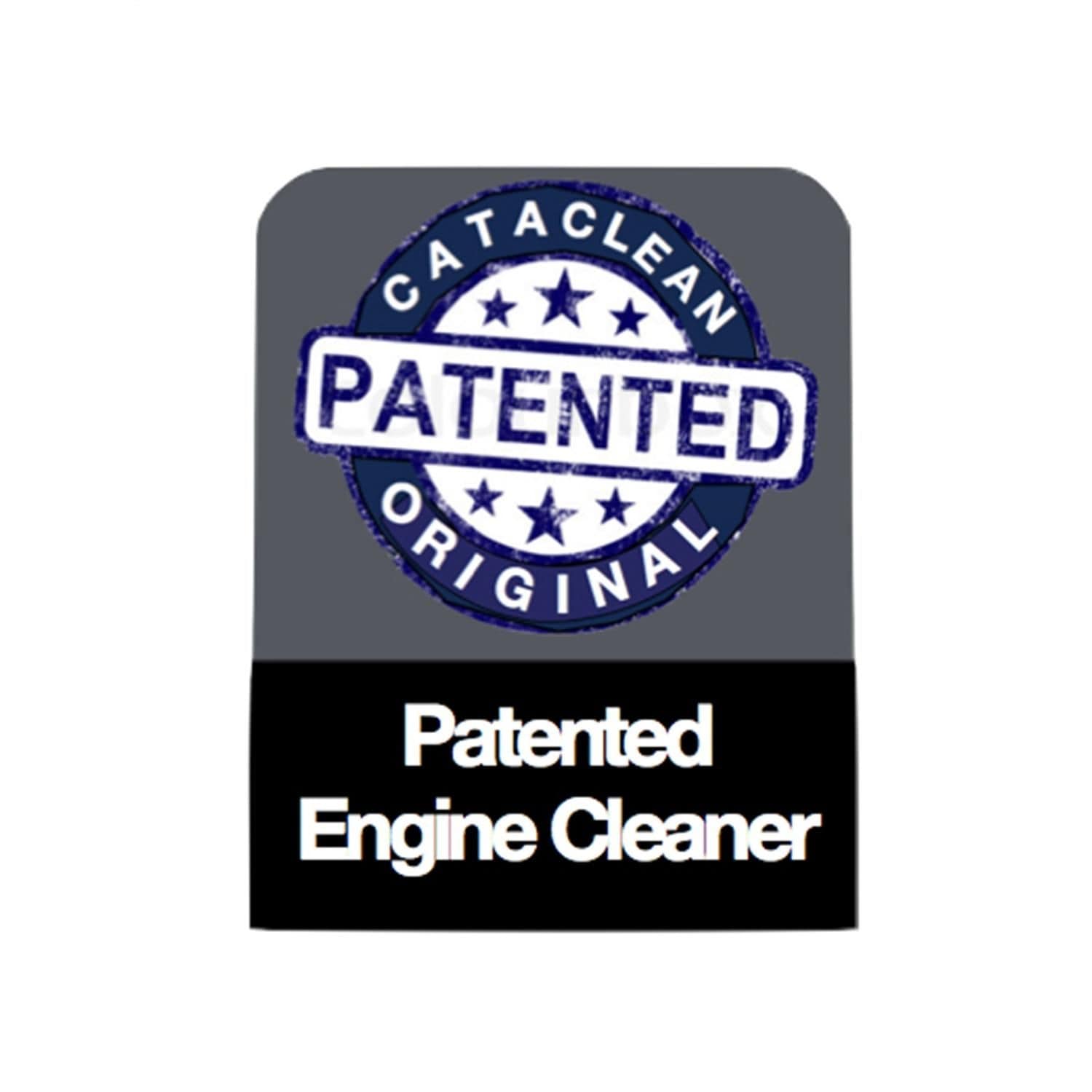 CataClean Fuel and Exhaust System Cleaner | AutoZone