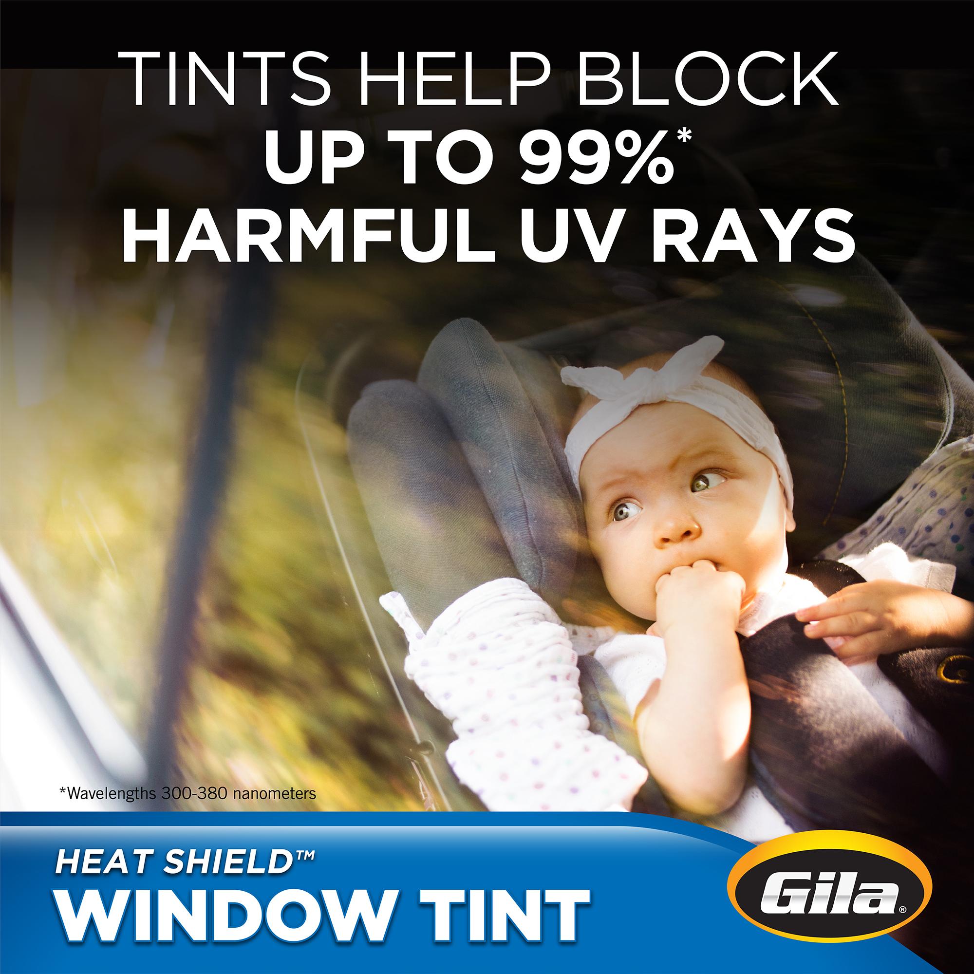 Gila 5% 24in x 78in Black Scratch Resistant Window Tint | AutoZone