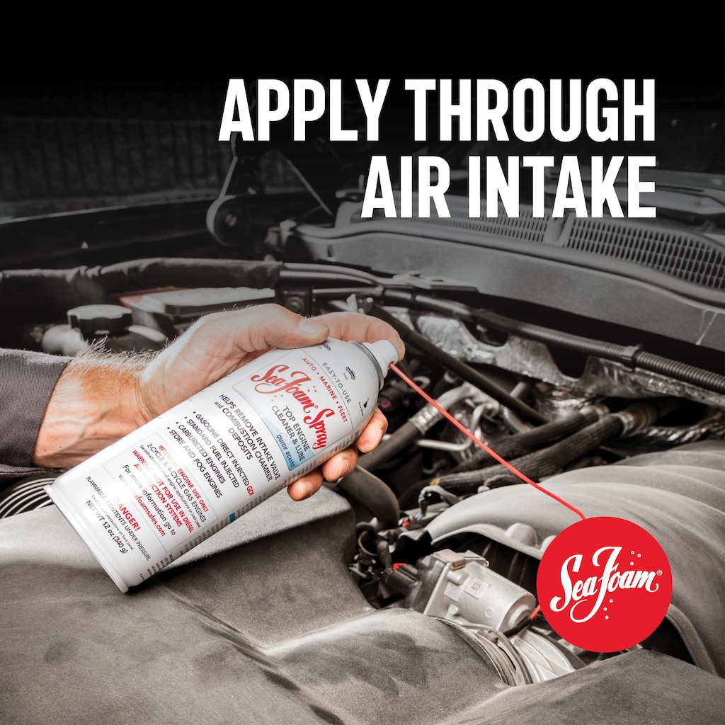 Sea Foam Engine Cleaner and Lube Spray 12oz | AutoZone