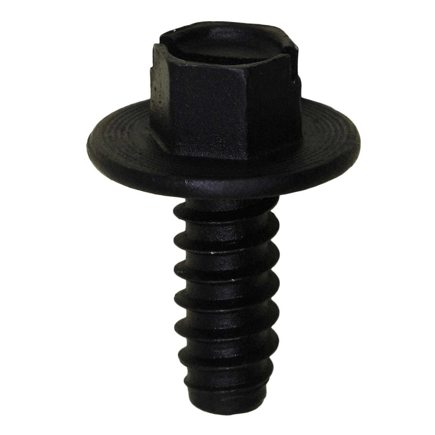 Best License Plate Mounting Hardware for Cars, Trucks & SUVs