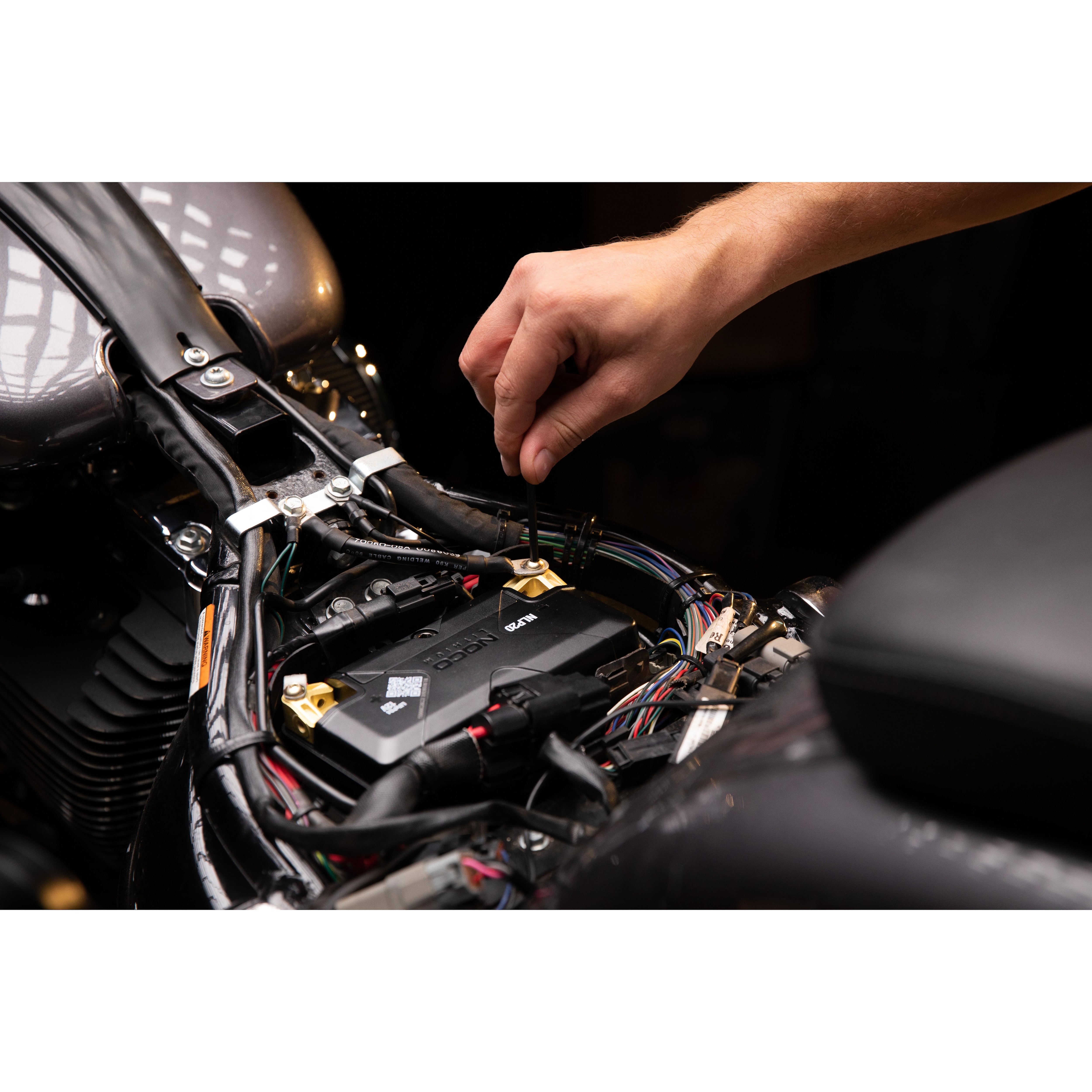 NOCO Group Size 30 Powersport Lithium Ion Battery NLP30 | AutoZone
