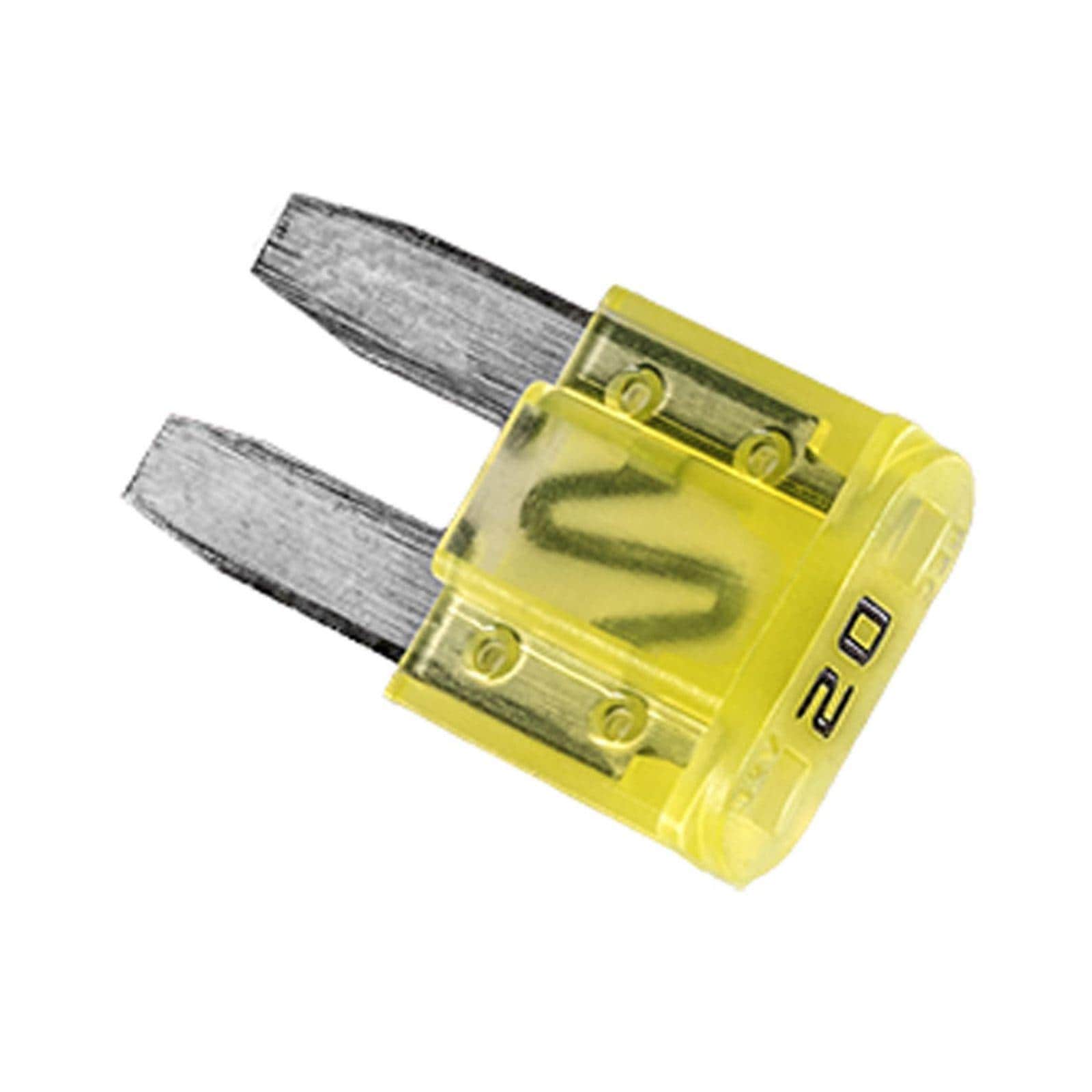 Auveco Multi-Purpose Fuse | AutoZone