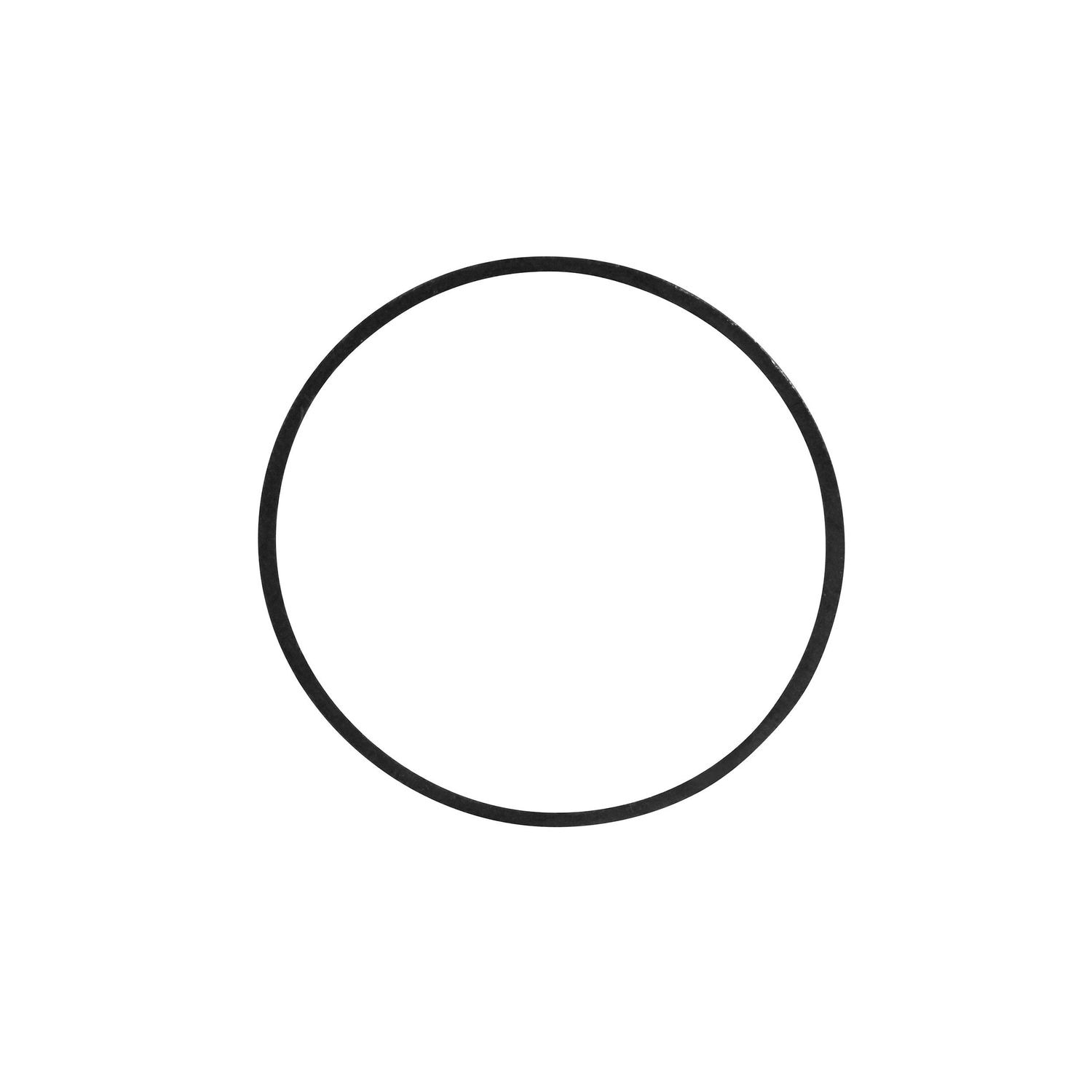 DuraFit Diesel Particulate Filter (DPF) Gasket - AutoZone