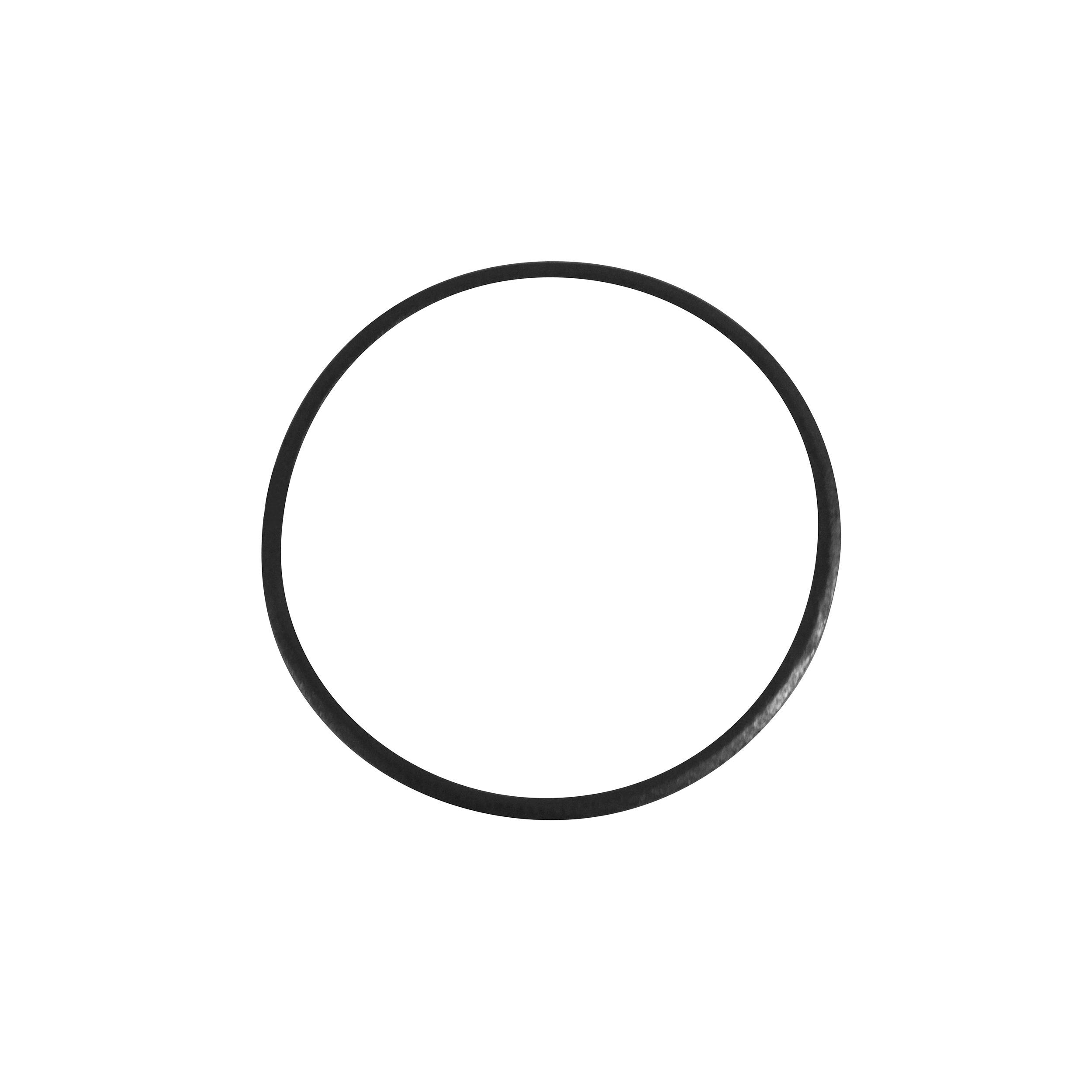DuraFit Diesel Particulate Filter (DPF) Gasket E30-0137 | AutoZone