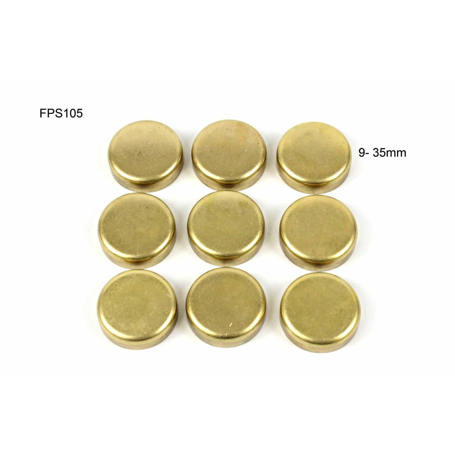 DNJ Engine Expansion Plug Kit FPS105 | AutoZone