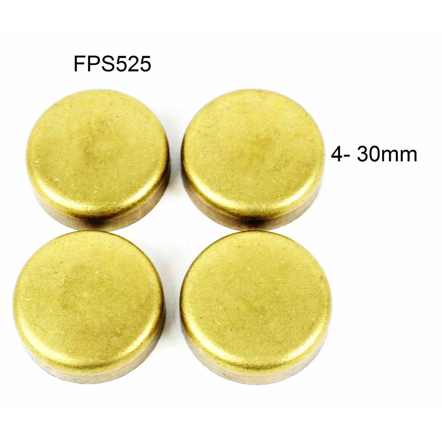 DNJ Engine Expansion Plug Kit FPS525 | AutoZone
