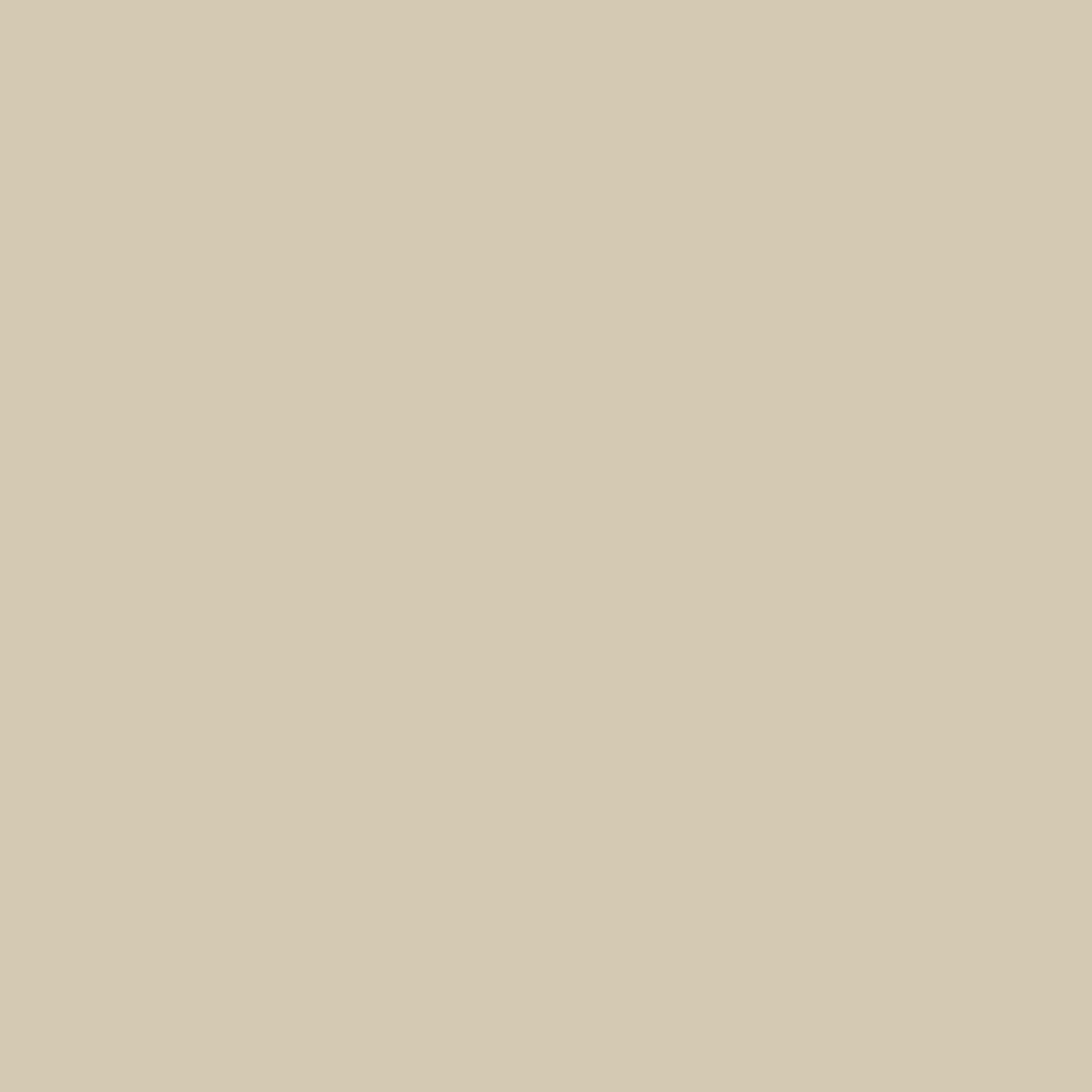 Dupli-Color Perfect Match Touch Up Paint Champagne Pearl Paint Code PTE ...