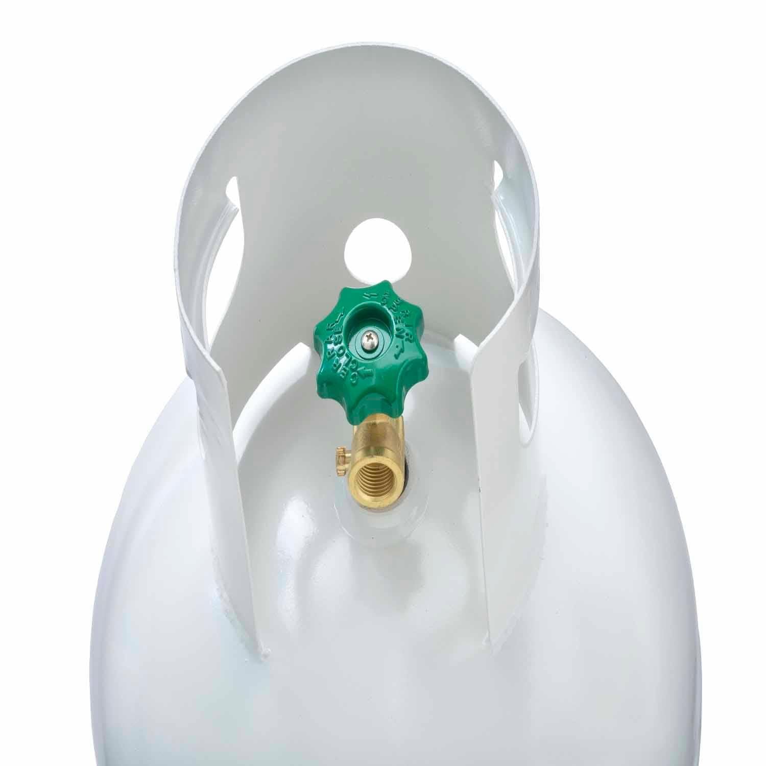 FLAME KING Liquid Propane Gas (LPG) Fuel Tank YSN100 | AutoZone
