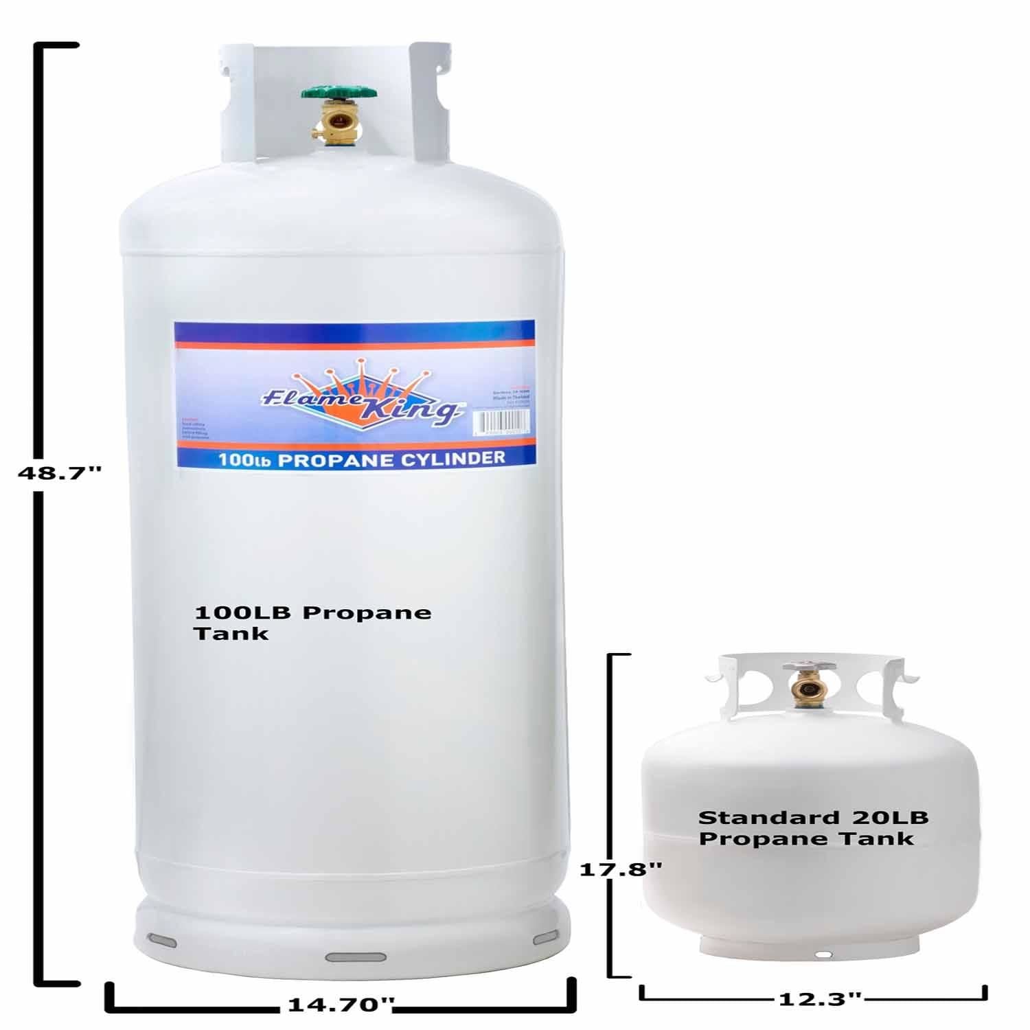 FLAME KING Liquid Propane Gas (LPG) Fuel Tank YSN100 | AutoZone