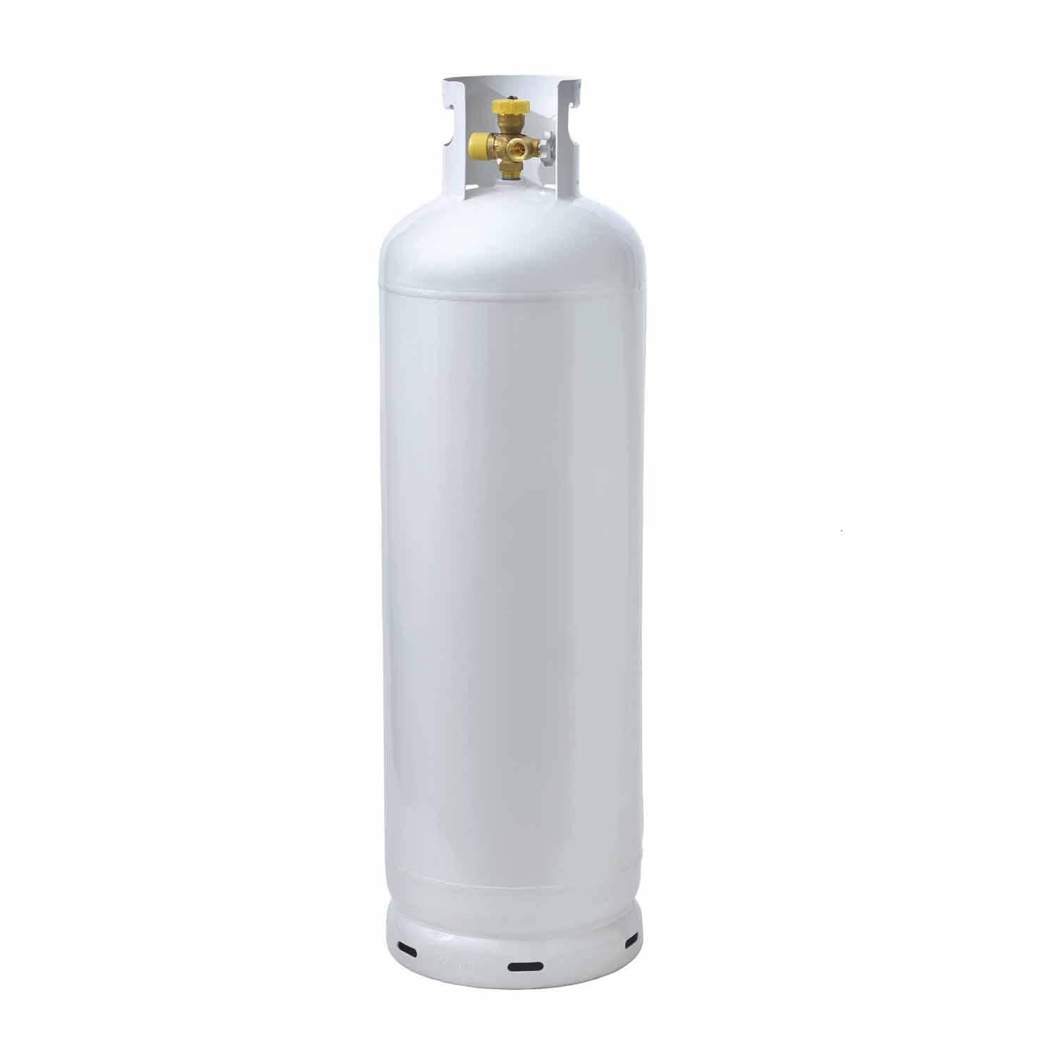 FLAME KING Liquid Propane Gas (LPG) Fuel Tank YSN100MLT-1 | AutoZone
