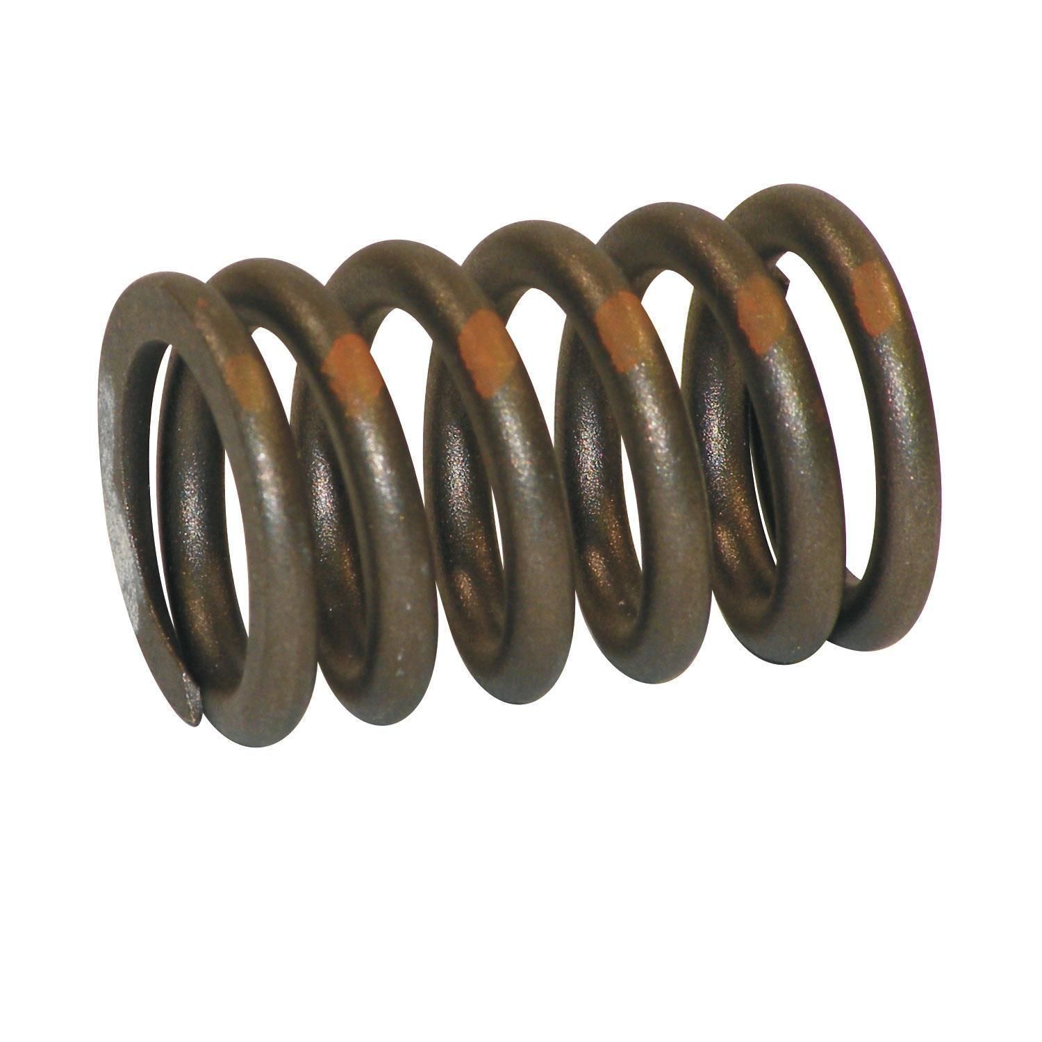 Best Valve Spring for Nissan Cars, Trucks & SUVs