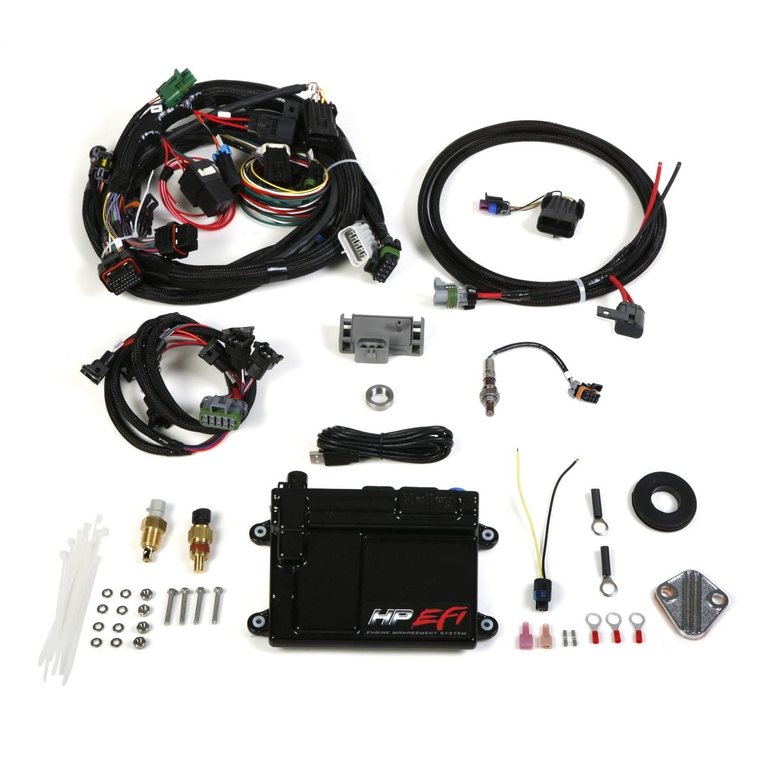 Holley EFI Engine Control Module (ECM) Wiring Harness 550-601N | AutoZone