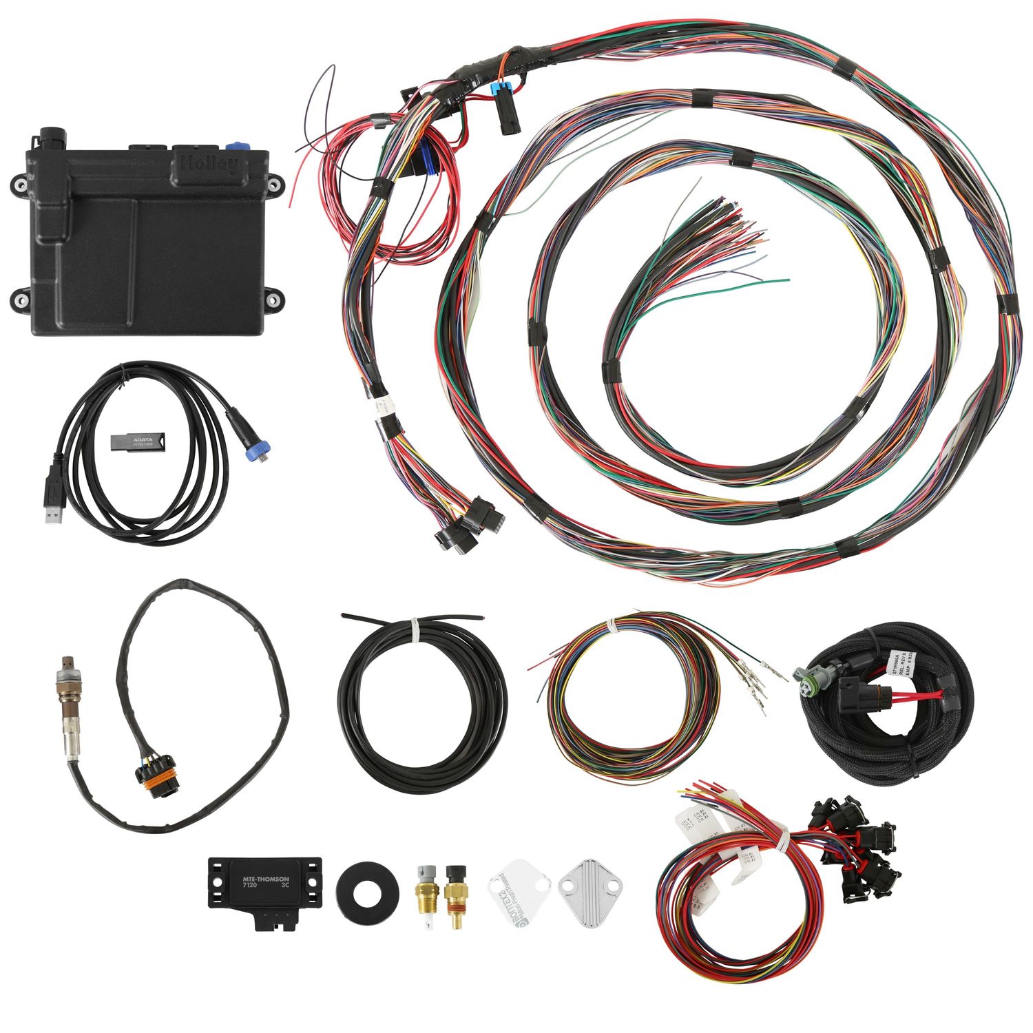 Holley EFI Engine Control Module (ECM) Wiring Harness 550-605N | AutoZone