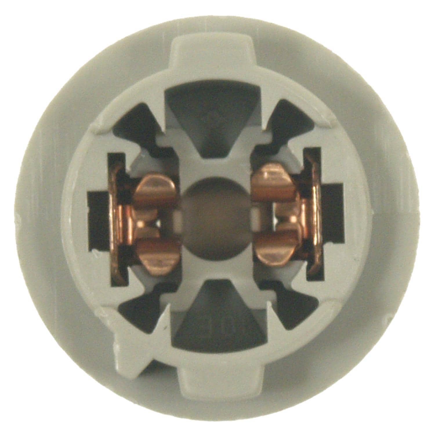 Duralast License Plate Light Socket 1674 | AutoZone